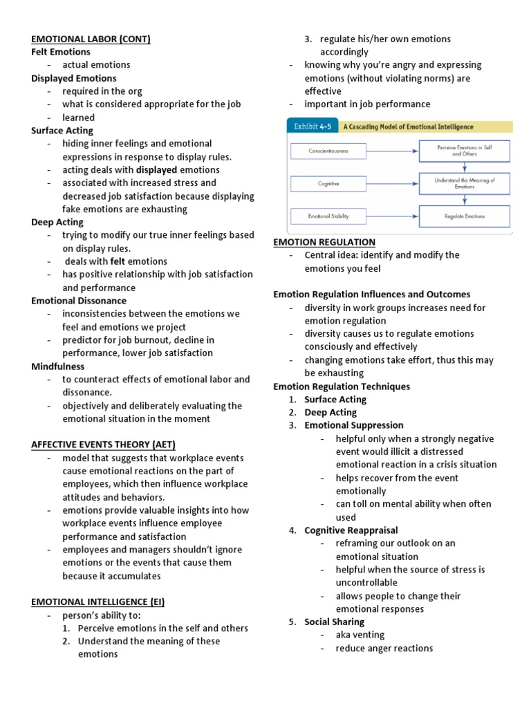 Ch4 EMOTIONAL LABOR | PDF | Emotional Self Regulation | Mood (Psychology)