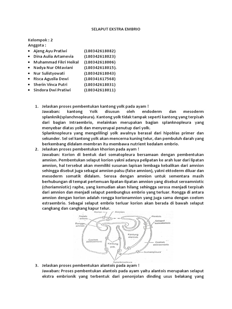 DISKUSI SELAPUT EKSTRA EMBRIO Jawaban | PDF | Ilmu Sosial | Kesehatan ...
