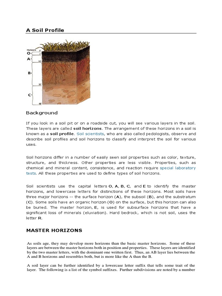 A Soil Profile | PDF | Natural Materials | Sedimentology