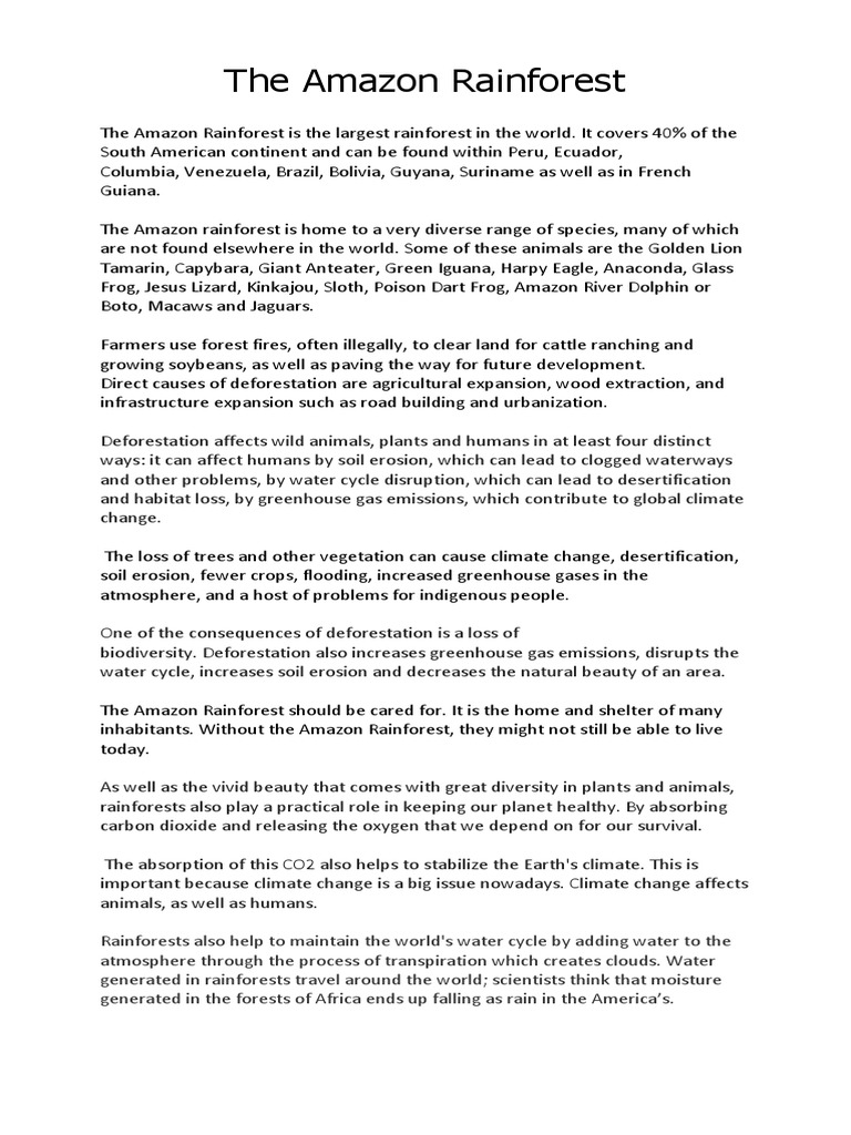 Amazon Rainforest Reaction Paper | PDF | Amazon Rainforest | Deforestation