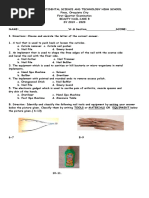 Level 2 Hairdressing Exam Questions | PDF | Hair | Skin