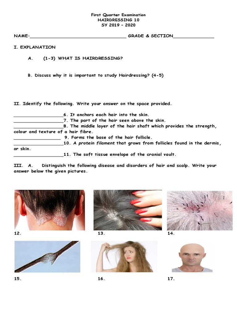 Hairdressing 1st Q Exam - 15 | PDF | Hair | Skin