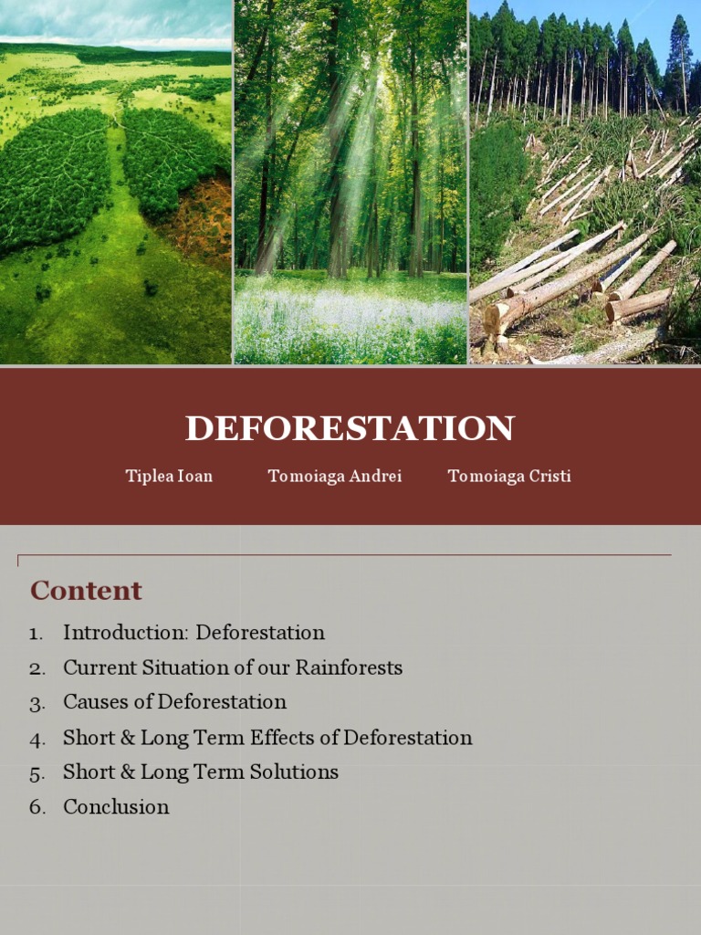 Deforestation | PDF | Deforestation | Amazon Rainforest