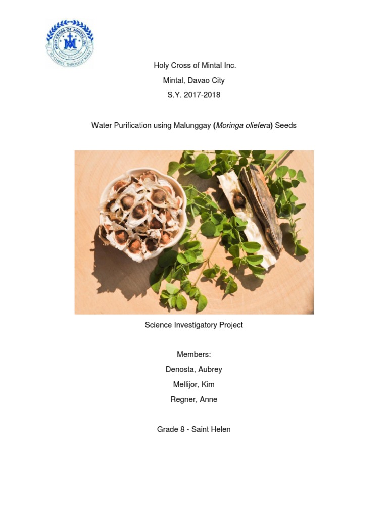 Science Investigatory Project For Grade 8 | PDF | Water Purification ...