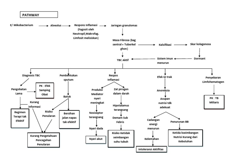 Pathway TB Paru | PDF