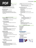 Sample Ultrasound Report | PDF | Adrenocorticotropic Hormone | Medical ...