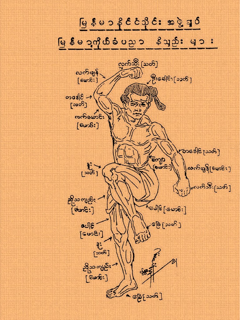 Myanmar Self Defense Techniques | PDF