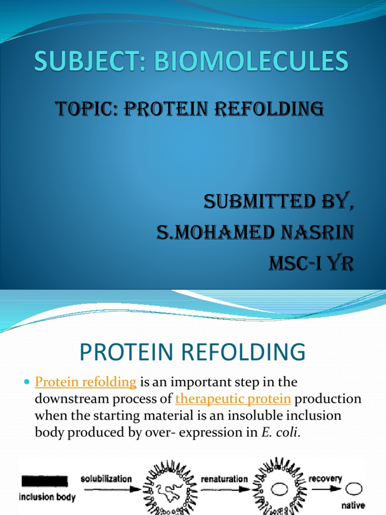 Protein Refolding | PDF | Protein Folding | Denaturation (Biochemistry)