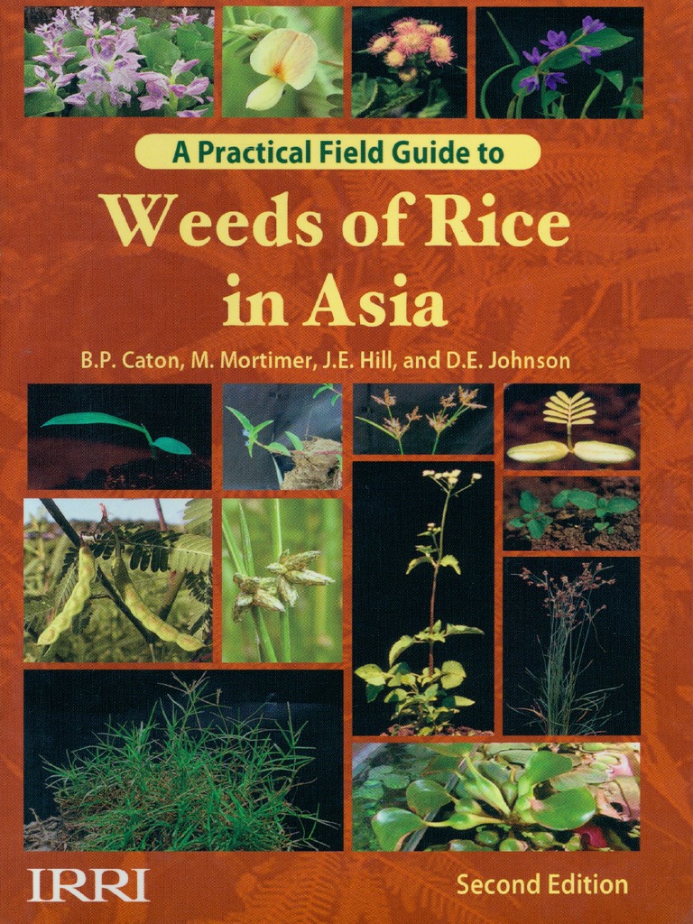 Weeds of Rice in Asia PDF | PDF | Perennial Plant | Seed
