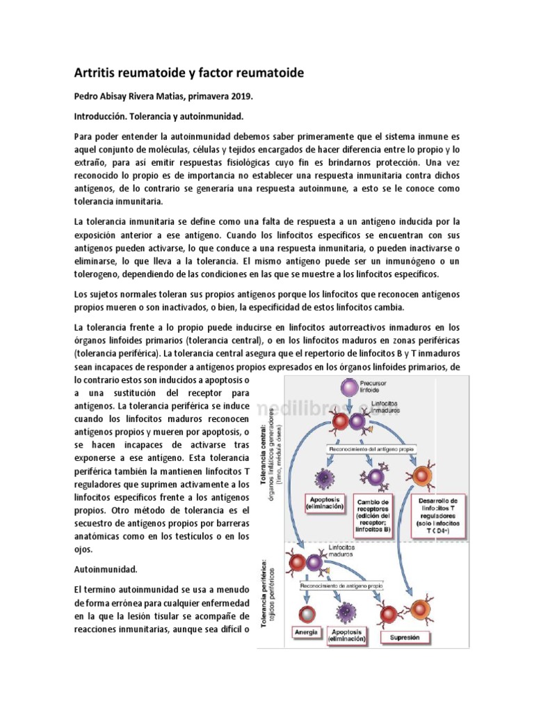 Artritis Reumatoide y Factor Reumatoide | PDF | Tolerancia inmune | Antígeno
