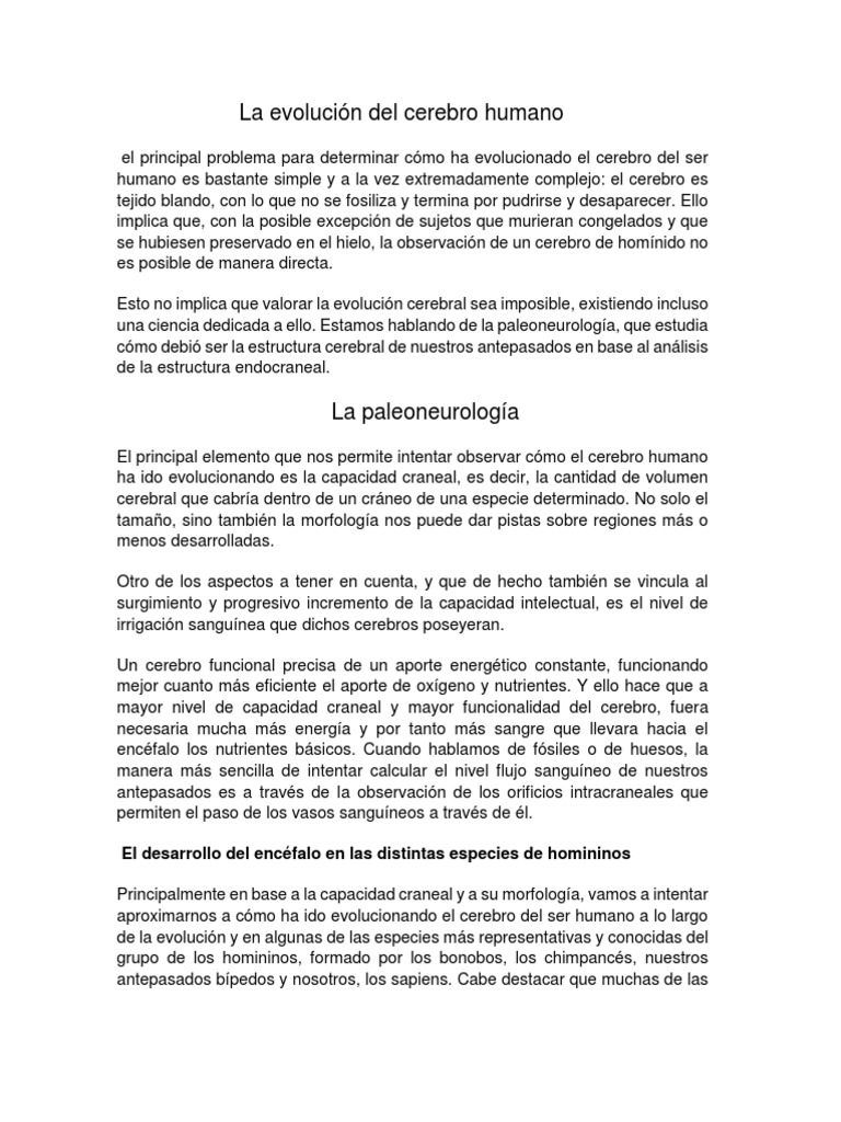 La Evolución Del Cerebro Humano | PDF | Cerebro | neanderthal