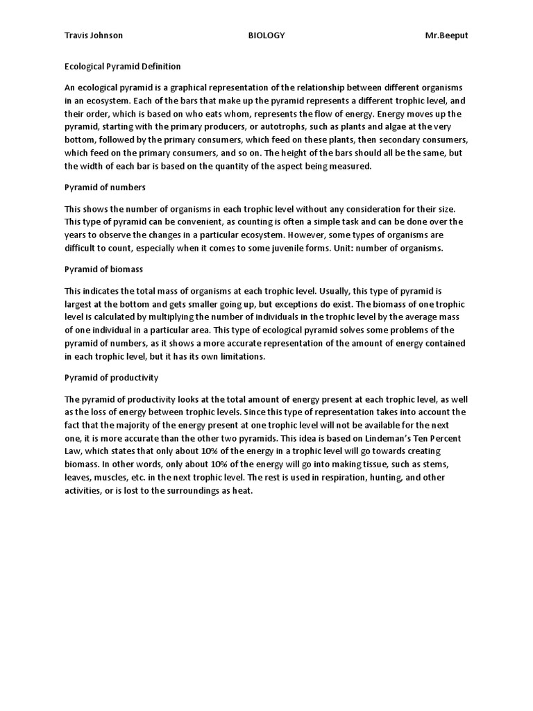 Biology Ecological Pyramid | PDF | Food Web | Primary Production