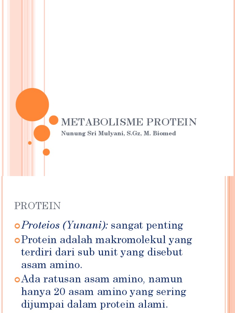 Metabolisme Protein | PDF