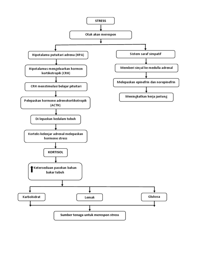 Pathway Stress Kelompok 1 | PDF