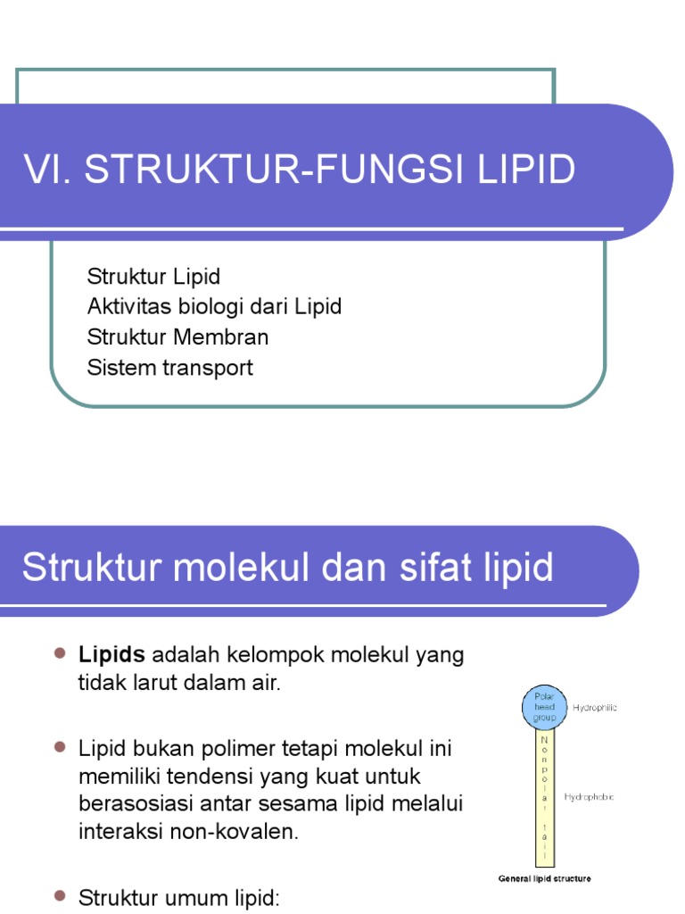 Bagian VI Struktur Fungsi Lipid | PDF