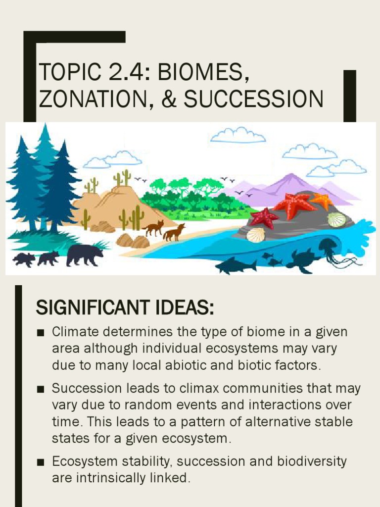Biomes, Zonation, and Succession Explained | PDF | Ecosystem | Primary ...