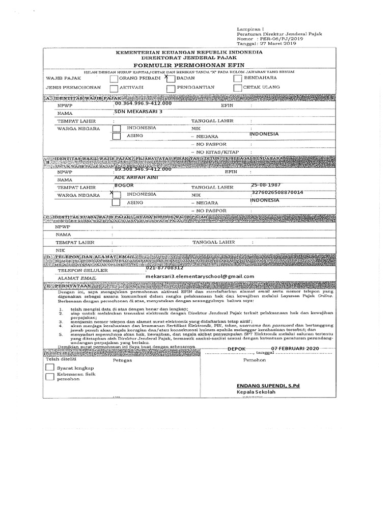Formulir Permohonan EFIN | PDF