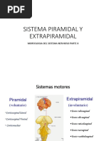 Vías Piramidal y Extrapiramidal: Función y Lesiones | PDF | Cerebro | Neurociencia
