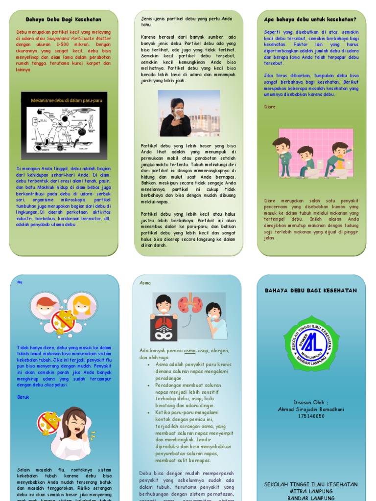 Bahaya Debu untuk Kesehatan Manusia | PDF