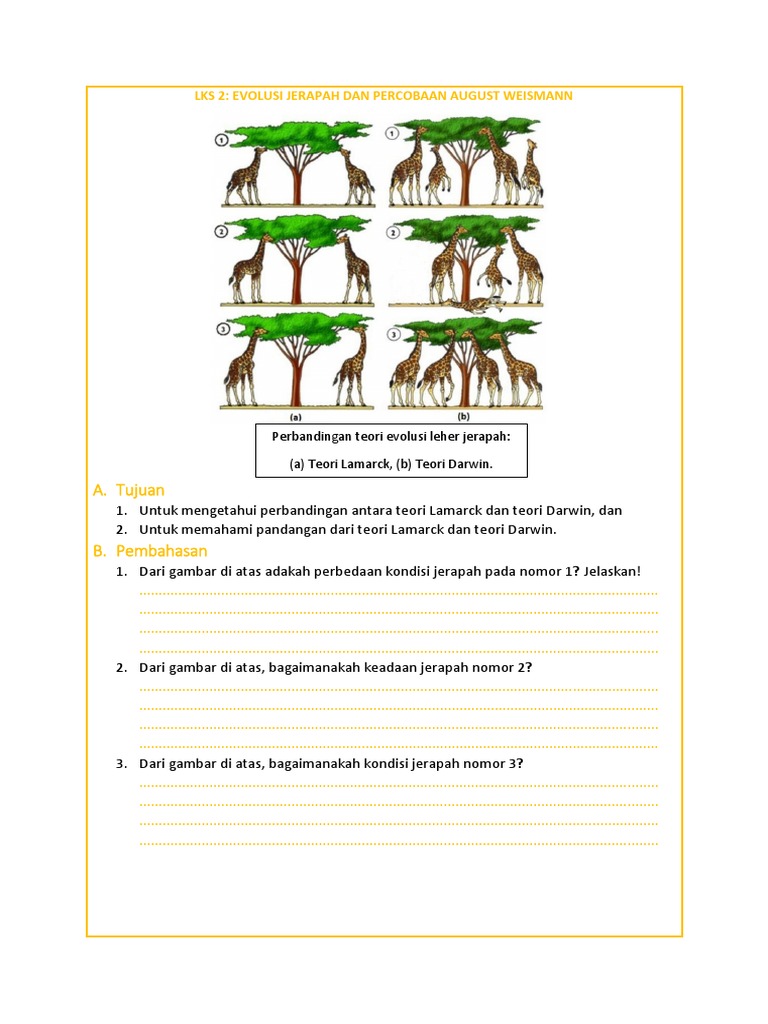 Evolusi Jerapah: Teori Lamarck vs Darwin | PDF