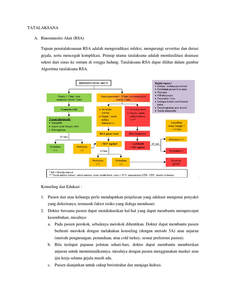 Tatalaksana Sinusitis | PDF
