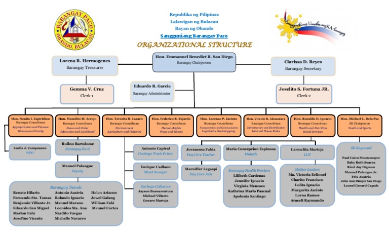 Barangay Organizational Structure | PDF | Business