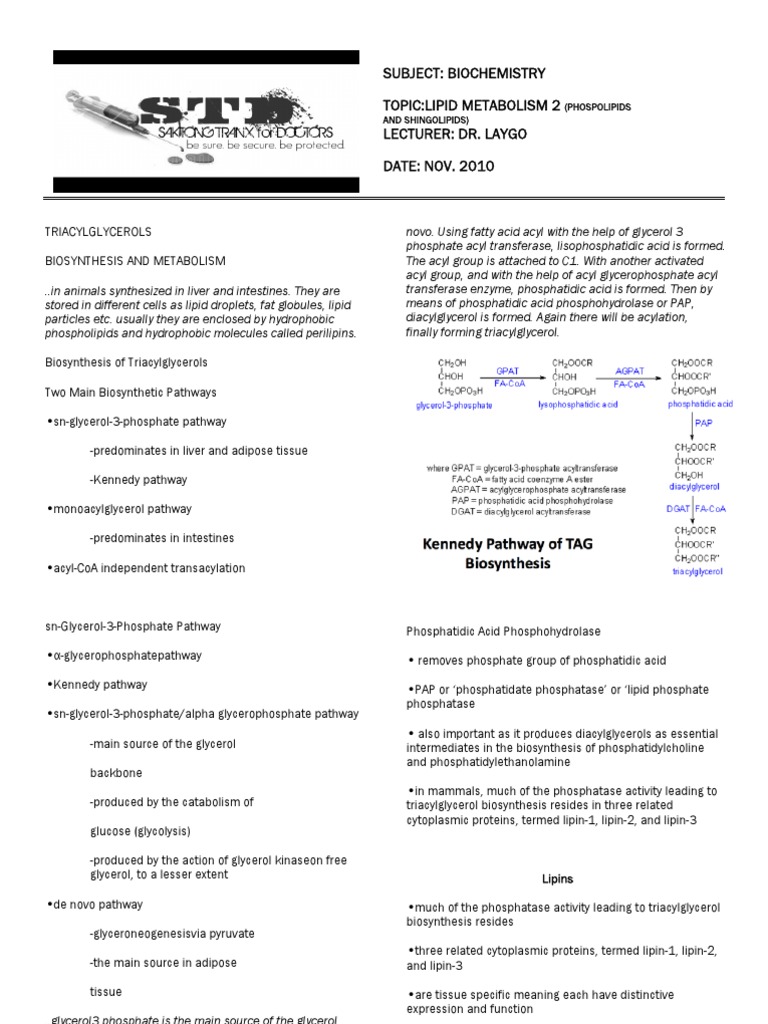 Subject: Biochemistry Topic:Lipid Metabolism 2 Lecturer: Dr. Laygo DATE ...