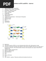 Enviropig: Genetic Modification Process | PDF | Genetically Modified ...