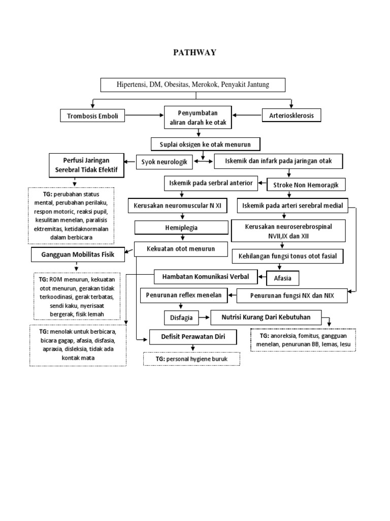Pathway SNH Lengkap | PDF