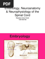 Modified Rodnan Skin Score Overview | PDF | Medicine | Diseases And ...