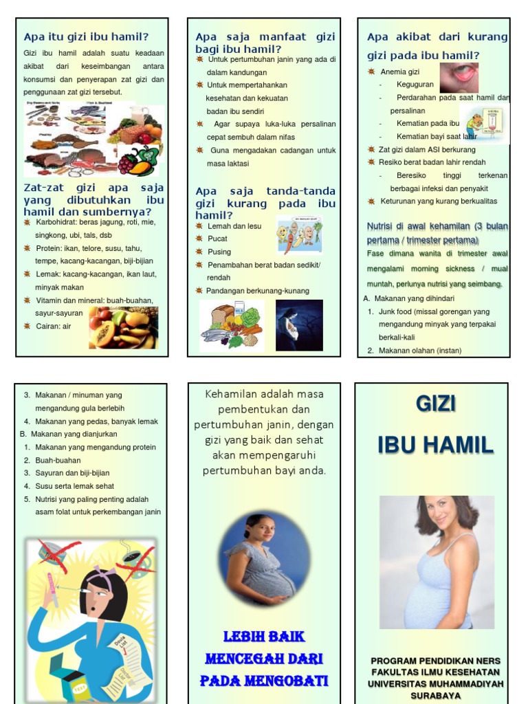 Leaflet Gizi Ibu Hamil 2 | PDF