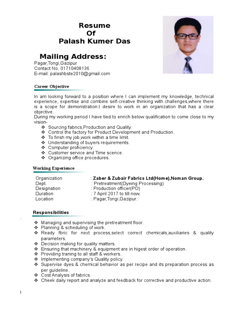 Production CV | PDF | Engineering | Cognition