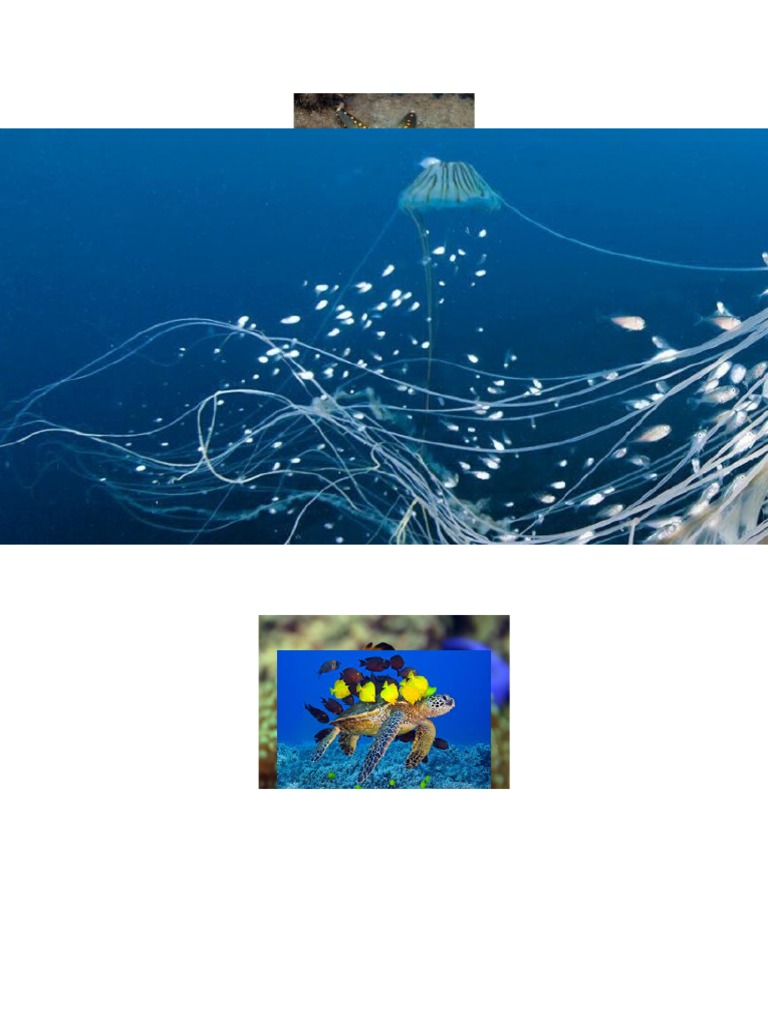 Koleksi Gambar Sumber Ilham | PDF