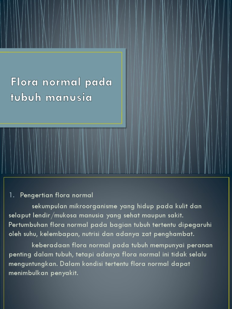 Flora Normal Pada Tubuh Manusia | PDF