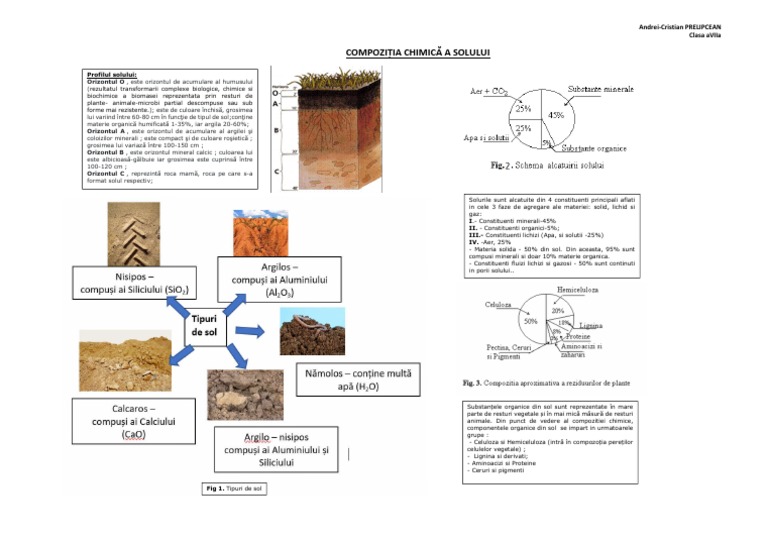 Chimie - Constitutia Si Compozitia Chimica A Solului - Plansa | PDF