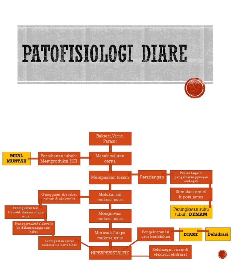 Patofisiologi Diare | PDF