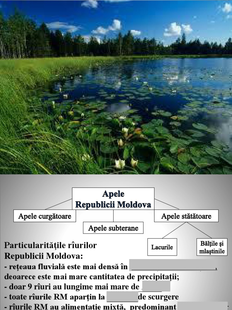 ape statatoare - копия | PDF