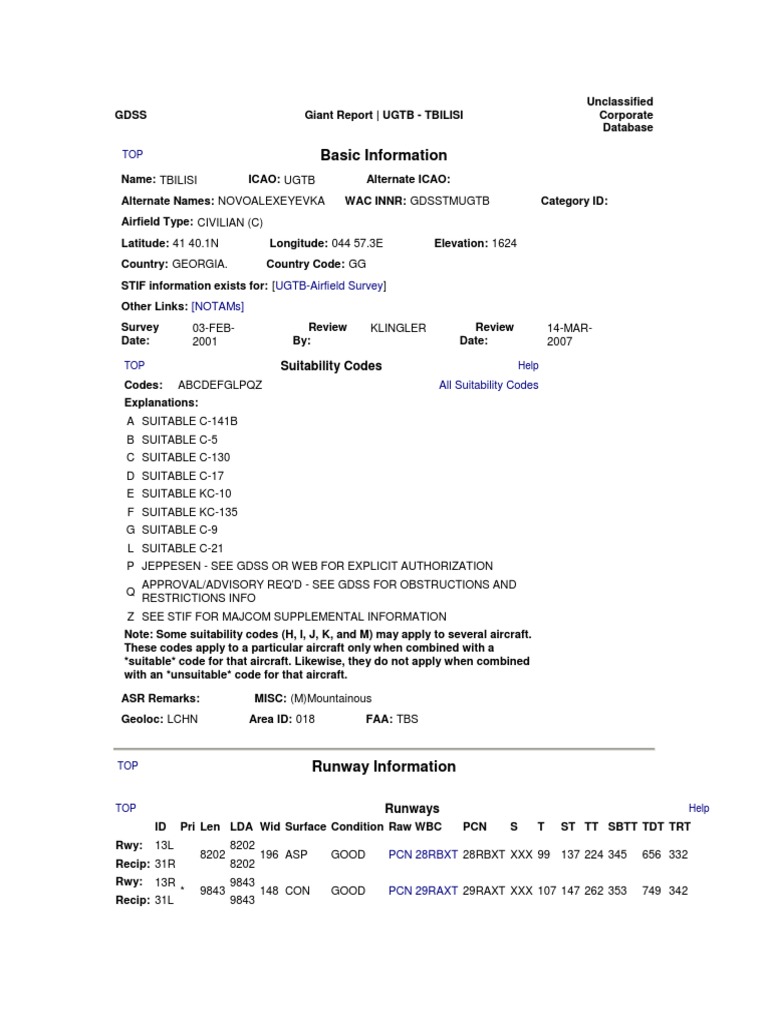 Giant Report | PDF | Airport | Runway