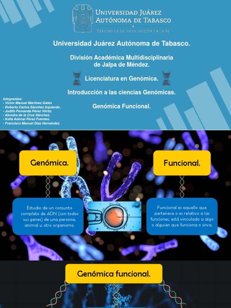 Genómica Funcional | PDF | Transcriptoma | Gene