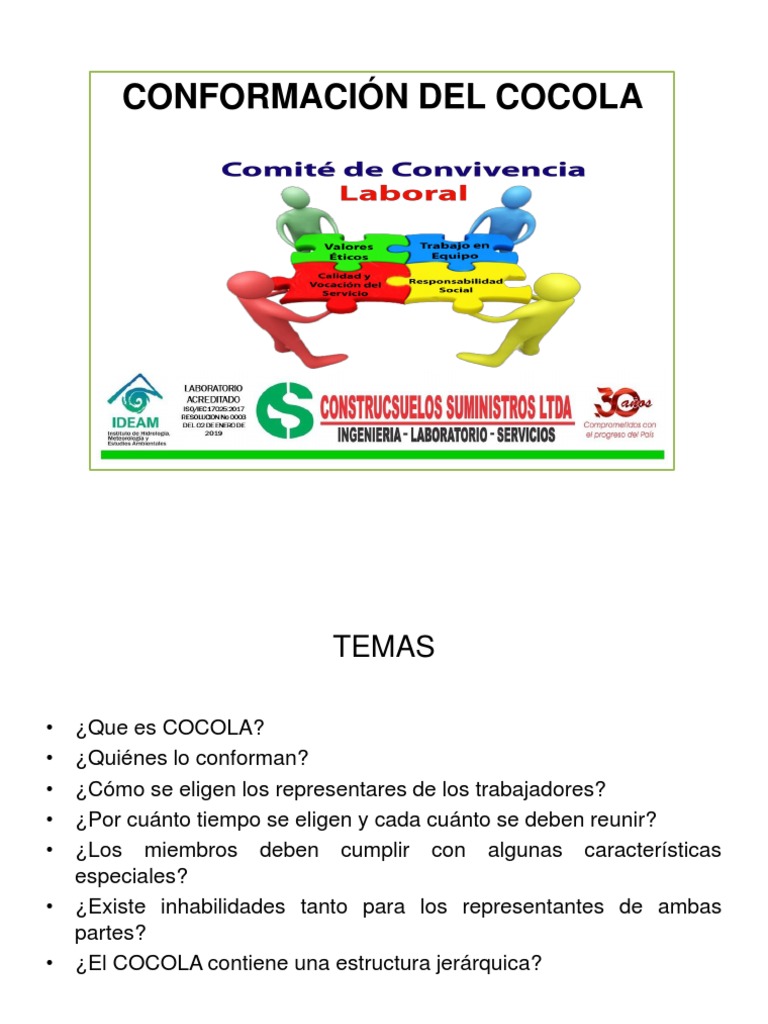 Guía Completa del Comité COCOLA | PDF | Gobierno | Business