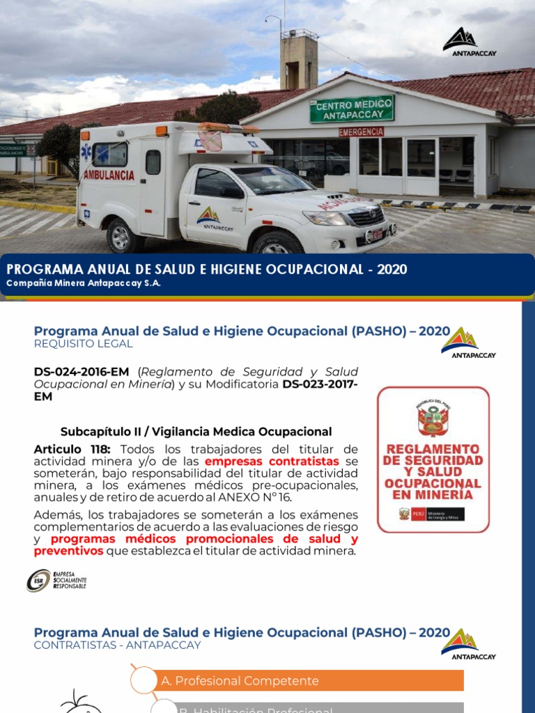 00 Requisitos PASHO 2020 PDF | PDF