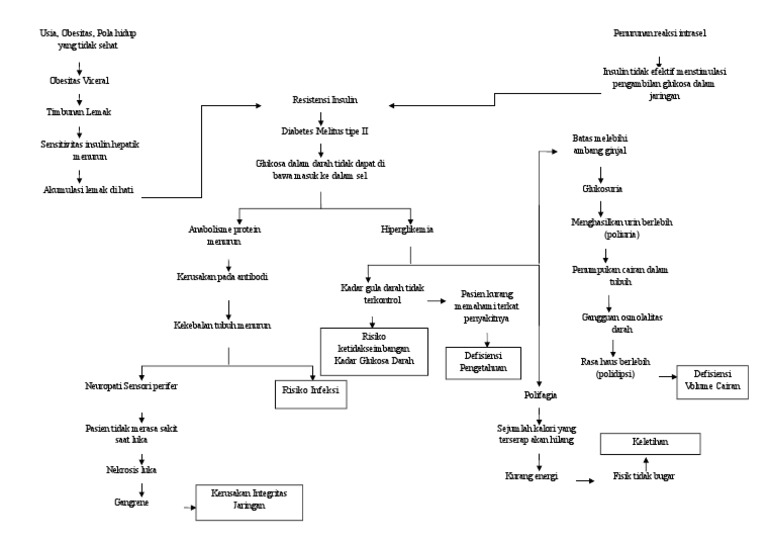 Pathway DM Tipe II KMB | PDF