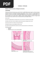Ectopia Cervical: Definição e Tratamento | PDF | Câncer cervical ...