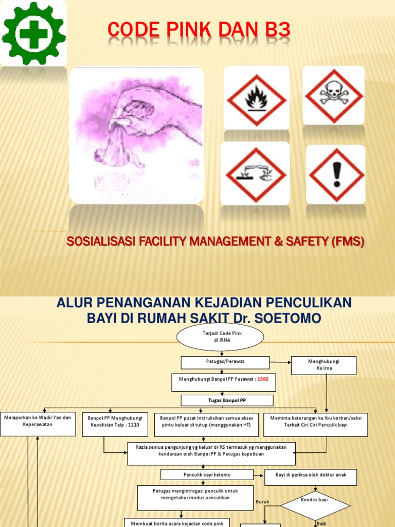 Presentasi Code Pink Dan B3 | PDF