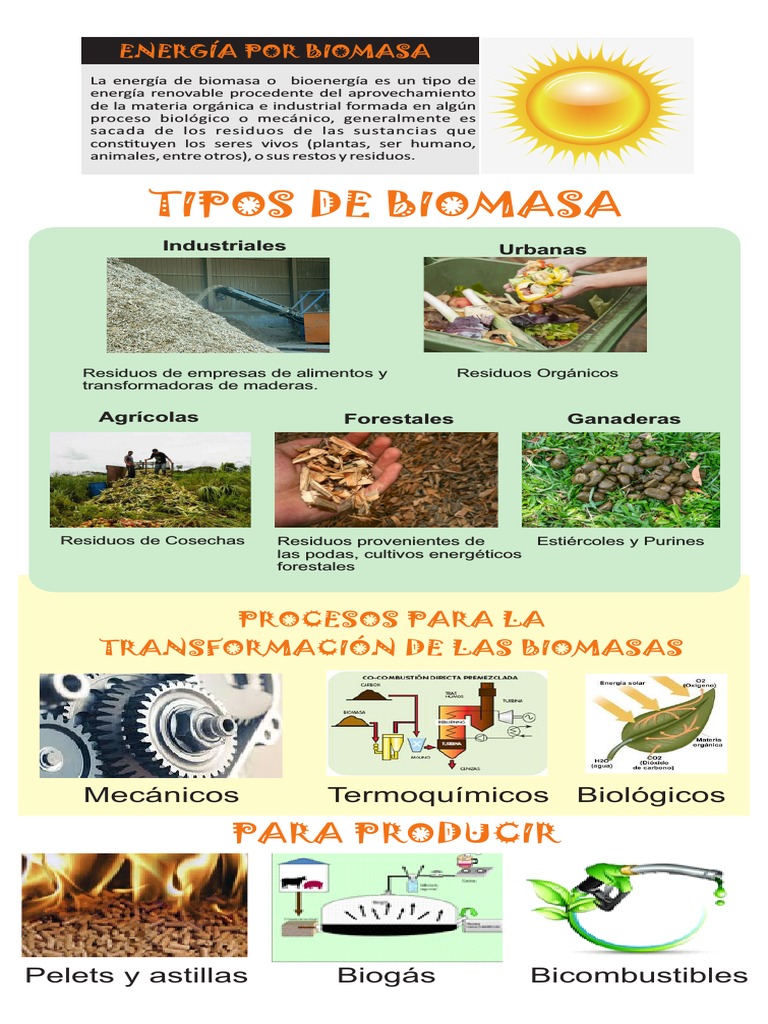 Infografia Biomasa | PDF