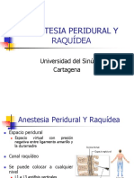 Anestesia Raquídea: Técnica y Complicaciones | PDF | Fluido ...