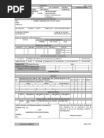 Formato de Pedimento Vacio | PDF
