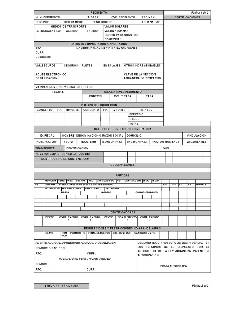 Formato de Pedimento de Importación | PDF | Economias | Gobierno
