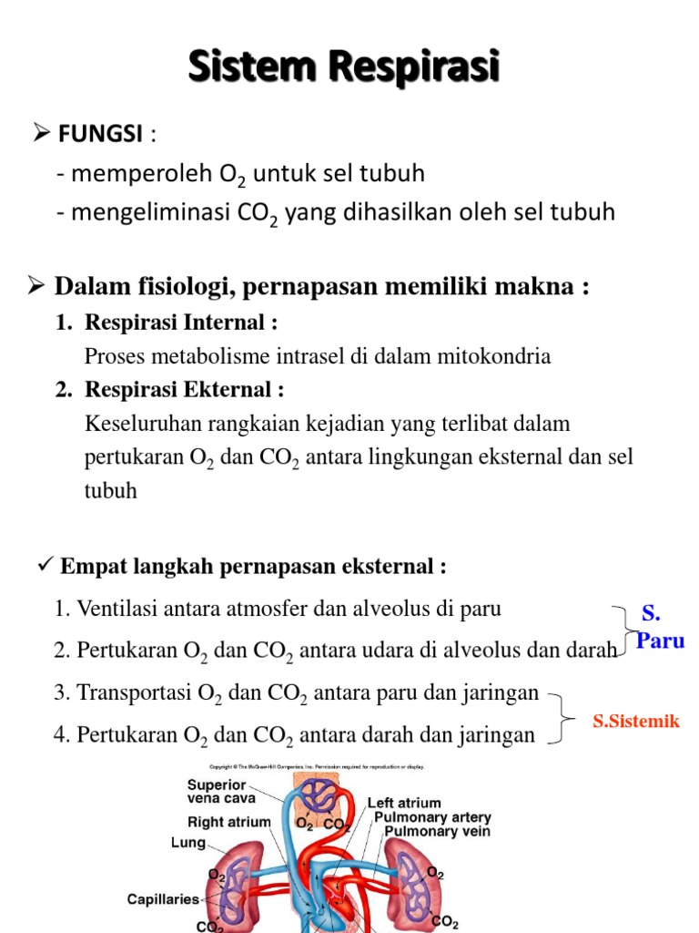 Proses dan Fungsi Sistem Respirasi | PDF