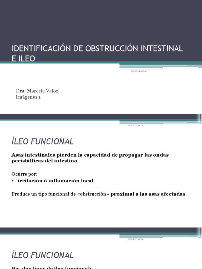 Íleo Funcional y Obstrucción Intestinal | PDF | Abdomen | Intestino grueso